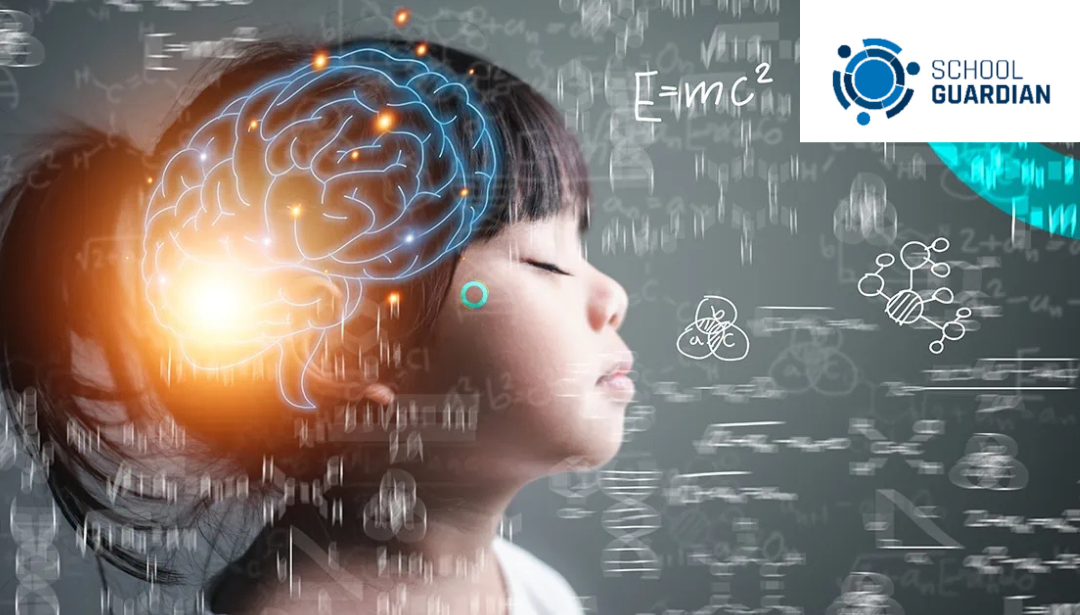 Como a neurociência pode beneficiar o processo ensino-aprendizagem ...